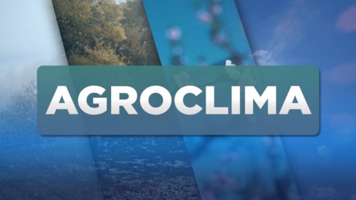 Programas do Canal do Boi e AgroCanal - Sistema Brasileiro do Agronegócio